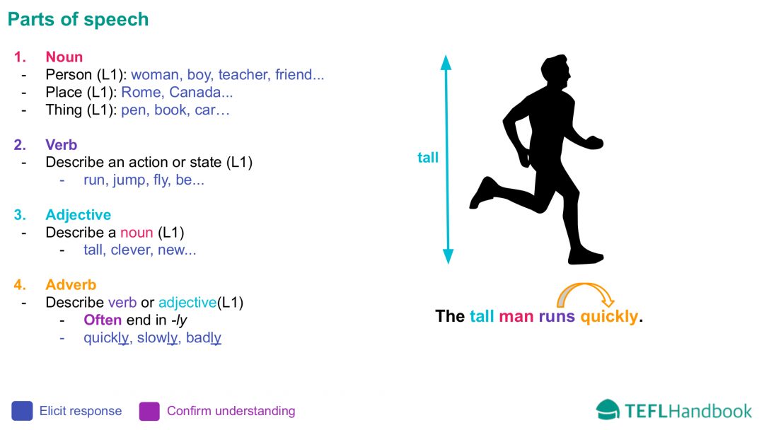 Parts of speech | ESL lesson plans for adult beginners