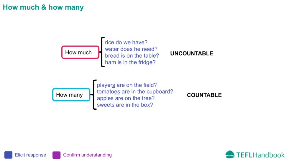 Questions with 'How much' and 'How many'