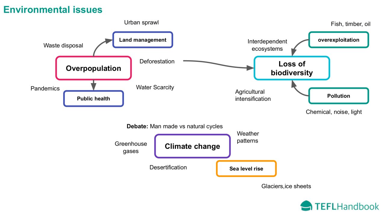 Environment | Vocabulary and speaking