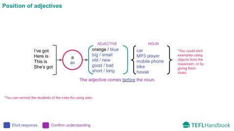 Position of adjectives