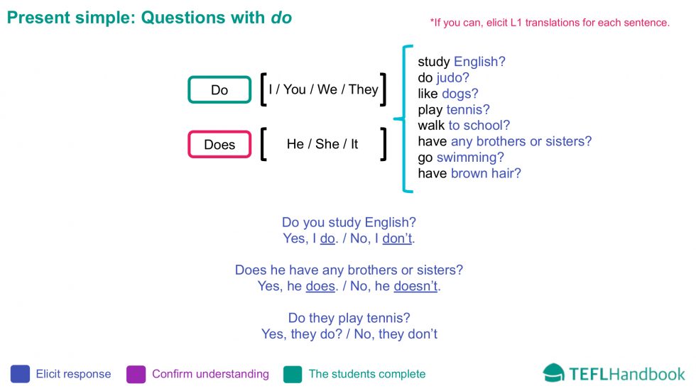 Present simple: Questions