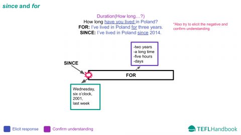 Using 'since' and 'for' with the present perfect